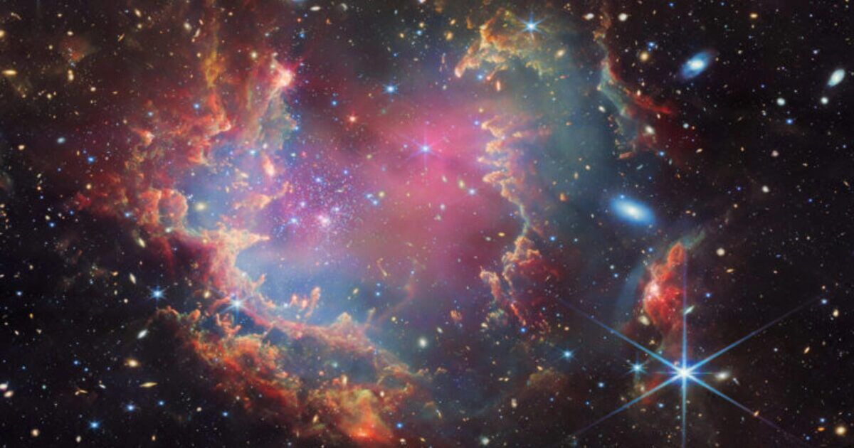 The Earthling | GrandRoundsMD.com